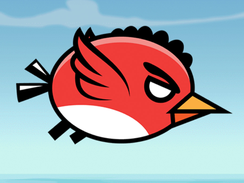 Speed bird - Igle Kids