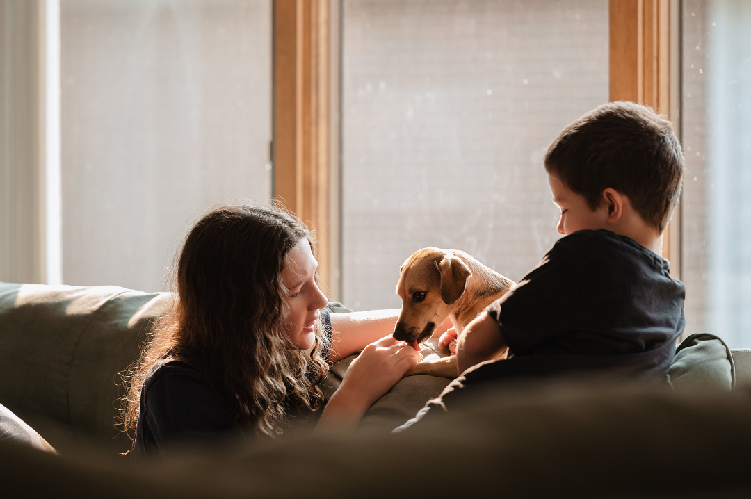 Cuatro cosas que debes tomar en cuenta al tener una mascota en la ...